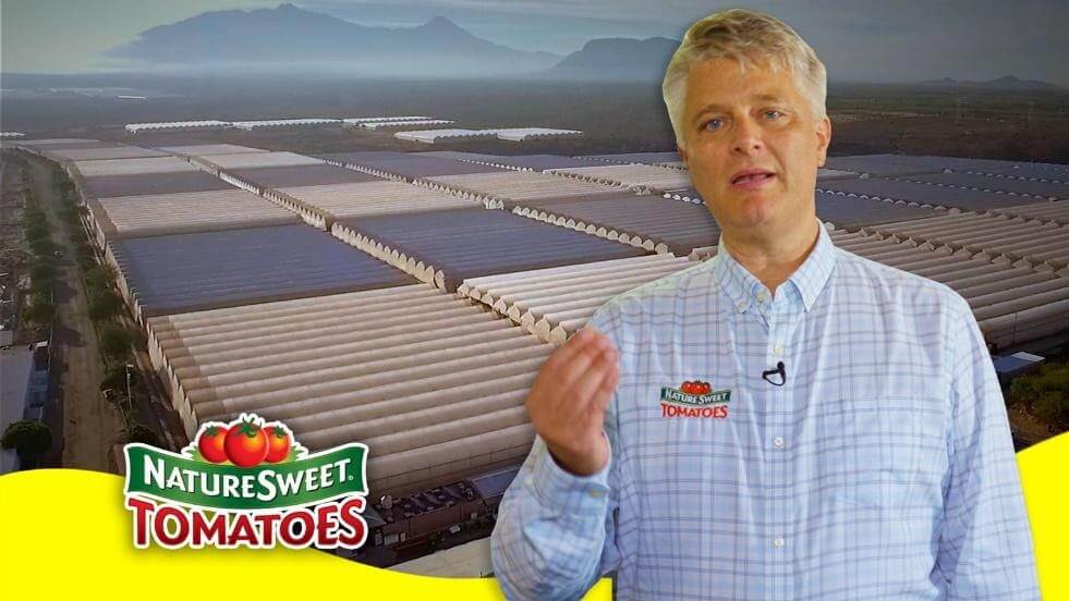 NatureSweet agrega una empresa conjunta para apoyar el rápido ...