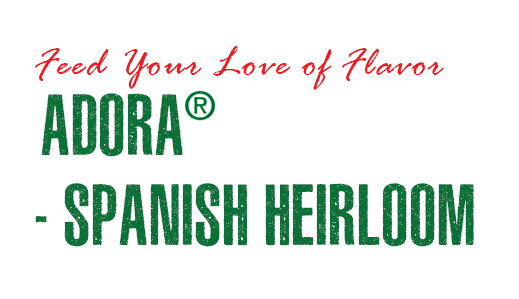 Adora® Heirloom Tomatoes - NatureSweet